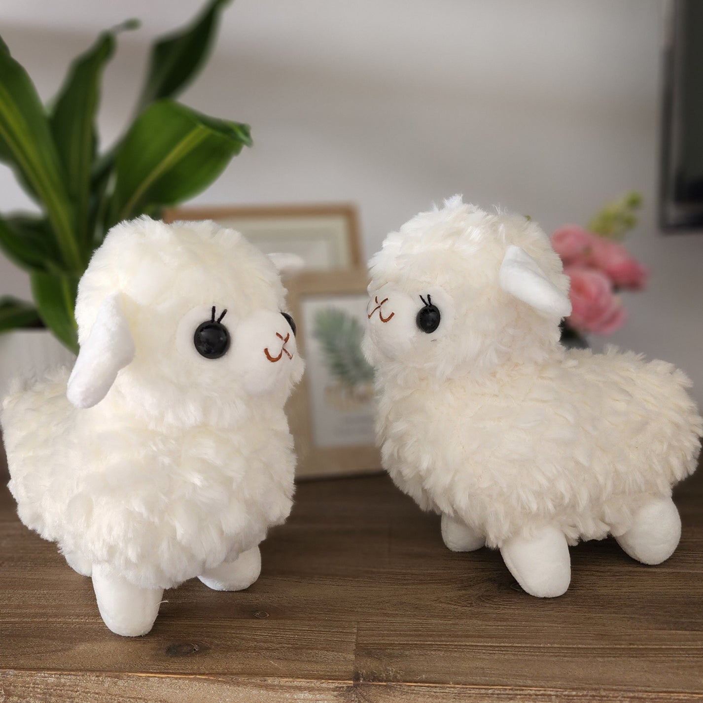 Fuzzy Llama – Premigift